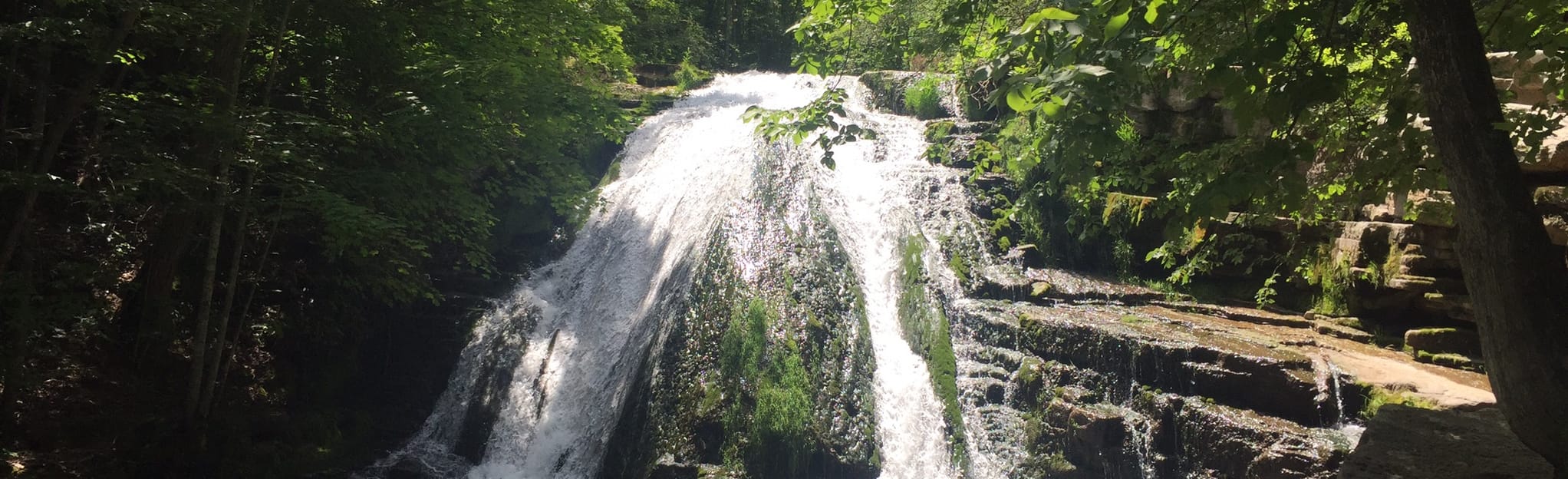 Roaring Run Hoop Hole Trail: 647 Reviews, Map - Virginia | AllTrails