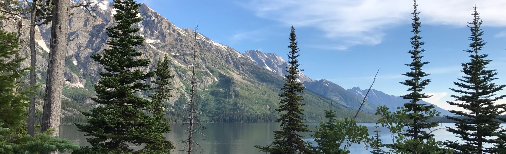 Moose Ponds Trail, Wyoming - 1,057 Reviews, Map | AllTrails