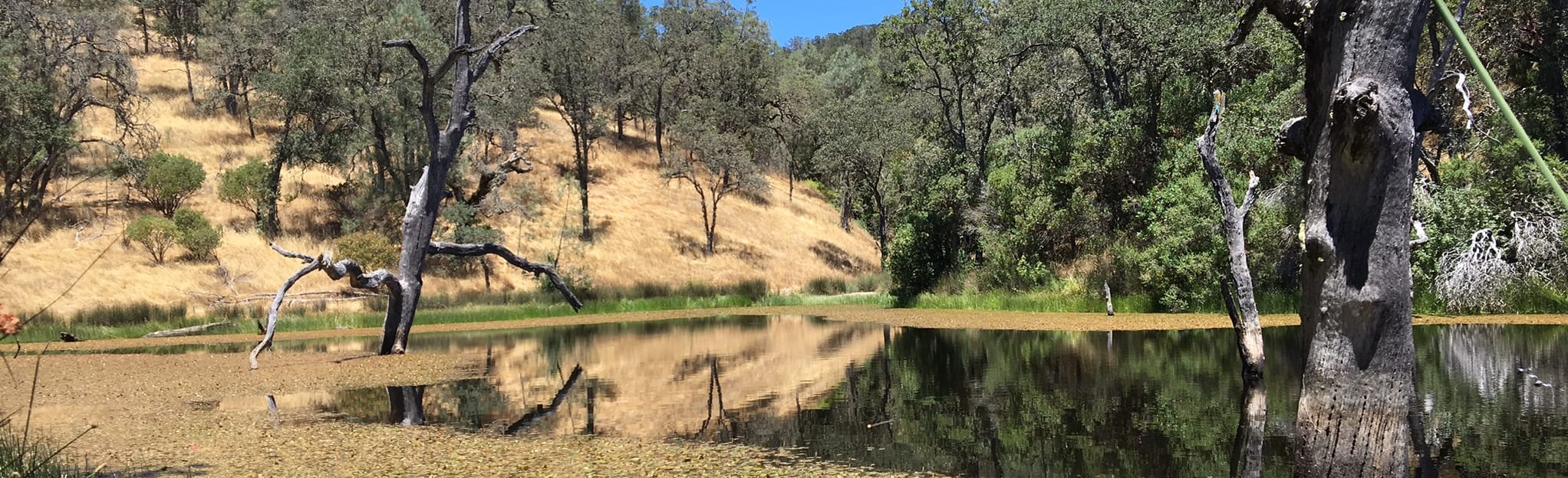 Middle Ridge via Flat Frog and Fish Trail, California - 4 Reviews, Map ...