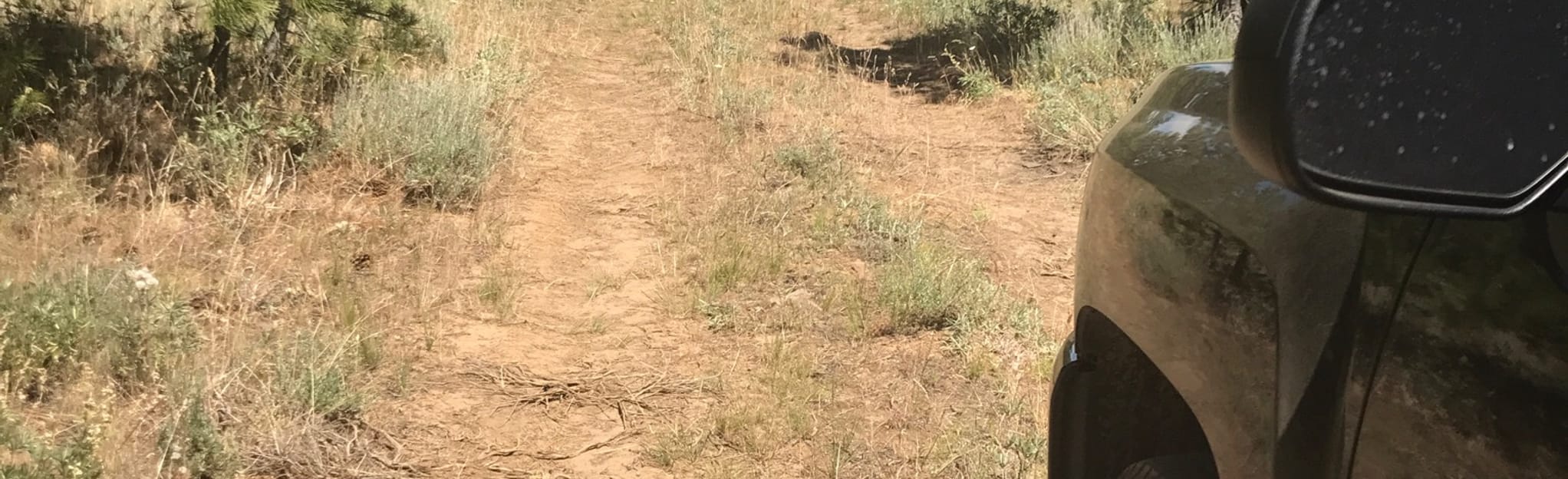 Colockum Road: 20 Reviews, Map - Washington | AllTrails