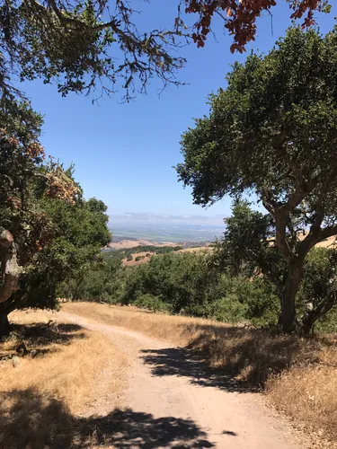 10 Best Hikes and Trails in Toro Regional Park | AllTrails