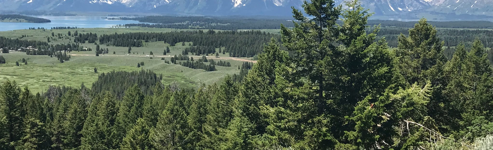 Emma Matilda Lake Trail, Wyoming - 128 Reviews, Map | AllTrails