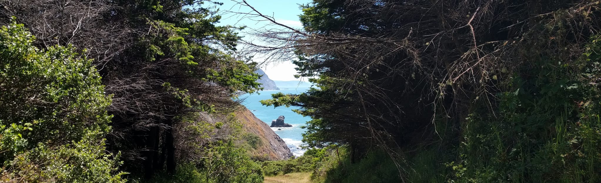 Lost Coast Trail: Needle Rock to Wheeler Camp: 143 fotos - Califórnia ...