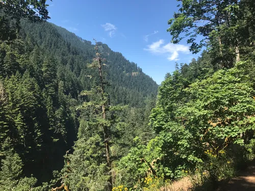 10 Best Hikes and Trails in Mount Hood National Forest | AllTrails