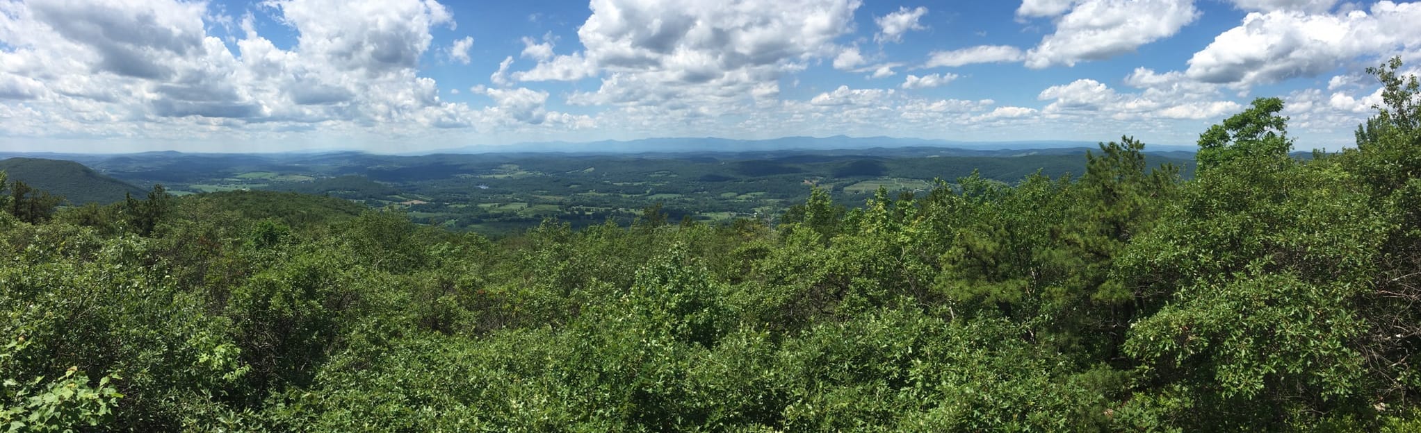 South Taconic Trail to Sunset Rock, New York - 85 Reviews, Map | AllTrails