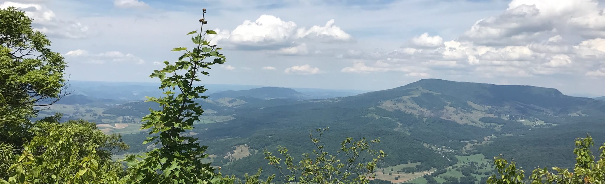 Middle Knob via Channels Trail, Virginia - 79 Reviews, Map | AllTrails