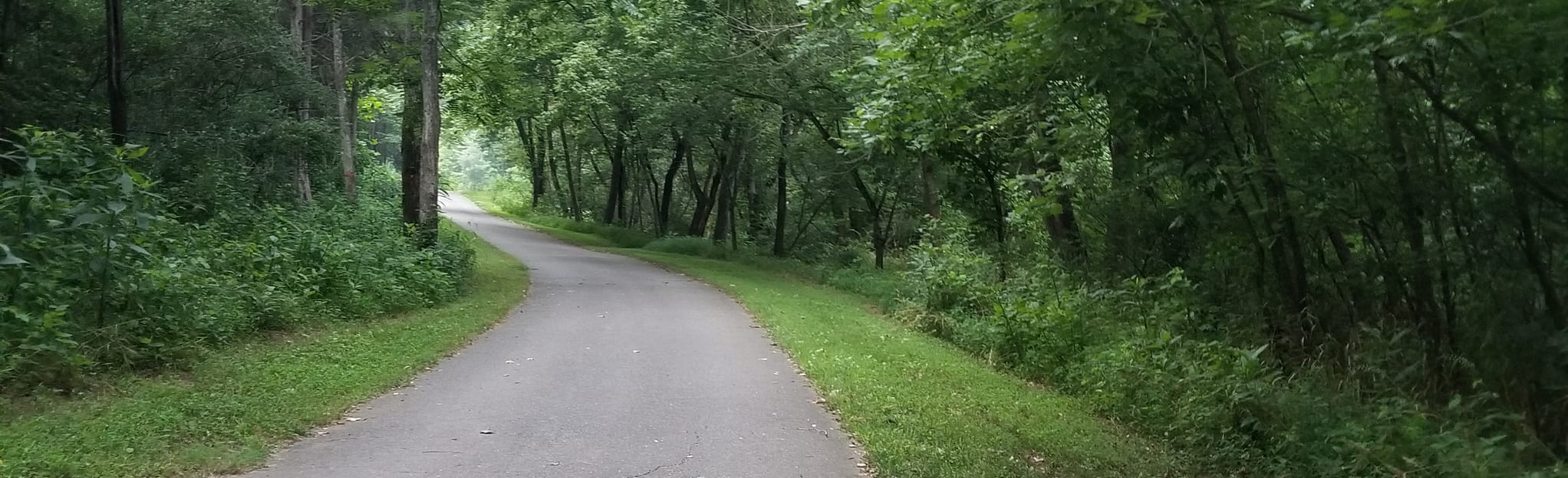 Bottom Out - Roller Coaster - Slick Rock: 62 Reviews, Map - Virginia ...