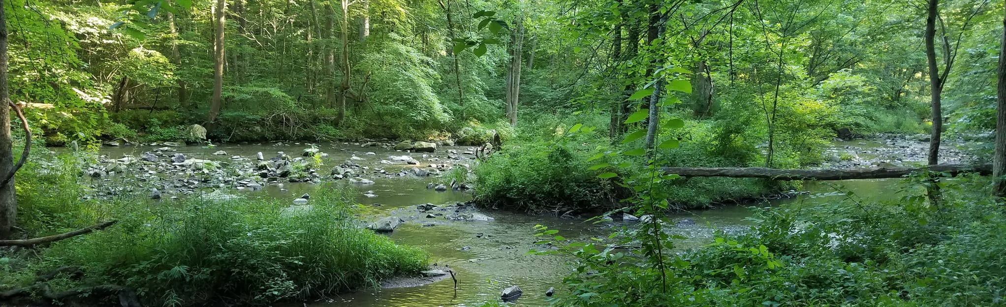 Forge Trail via Forest Hill Trail Loop: 96 Reviews, Map - Pennsylvania ...