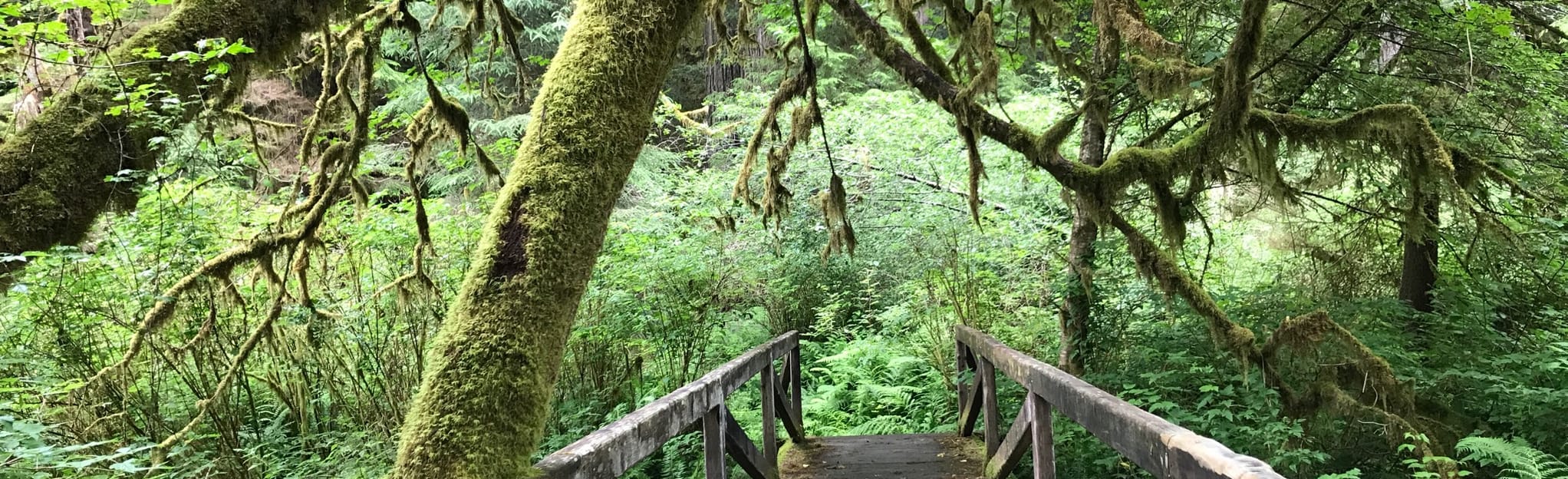 Zig Zag Figure 8 Trail | Map, Guide - California | AllTrails