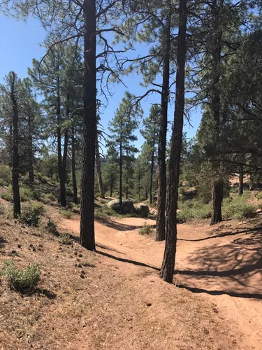 2023 Best 10 Trails and Hikes in Payson | AllTrails