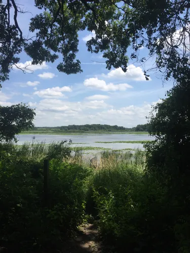 Best Hikes and Trails in Dorothy Carnes Park West | AllTrails