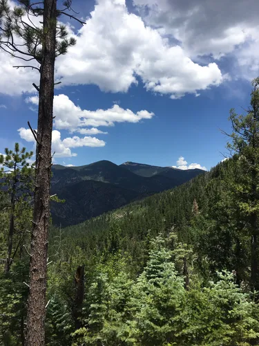 Best Hikes and Trails in Colin Neblett State Wildlife Area | AllTrails