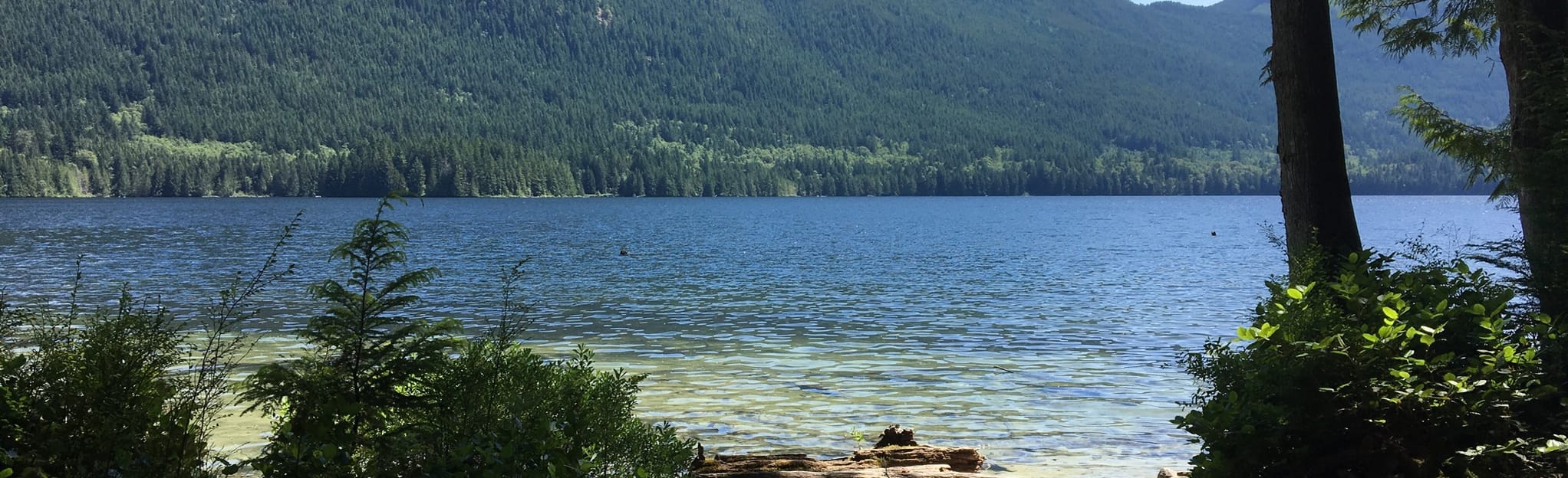 Inland Lake Loop: 111 Reviews, Map - British Columbia, Canada | AllTrails