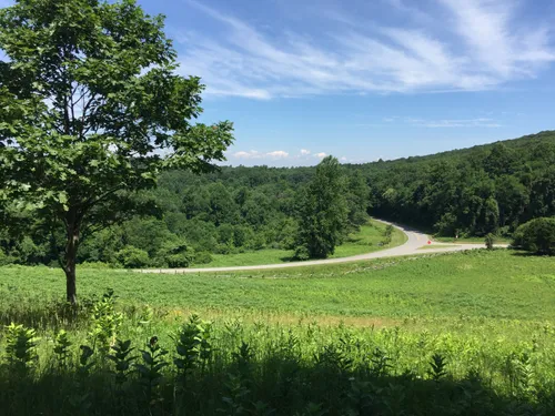 10 Best Hikes and Trails in George Washington and Jefferson National ...