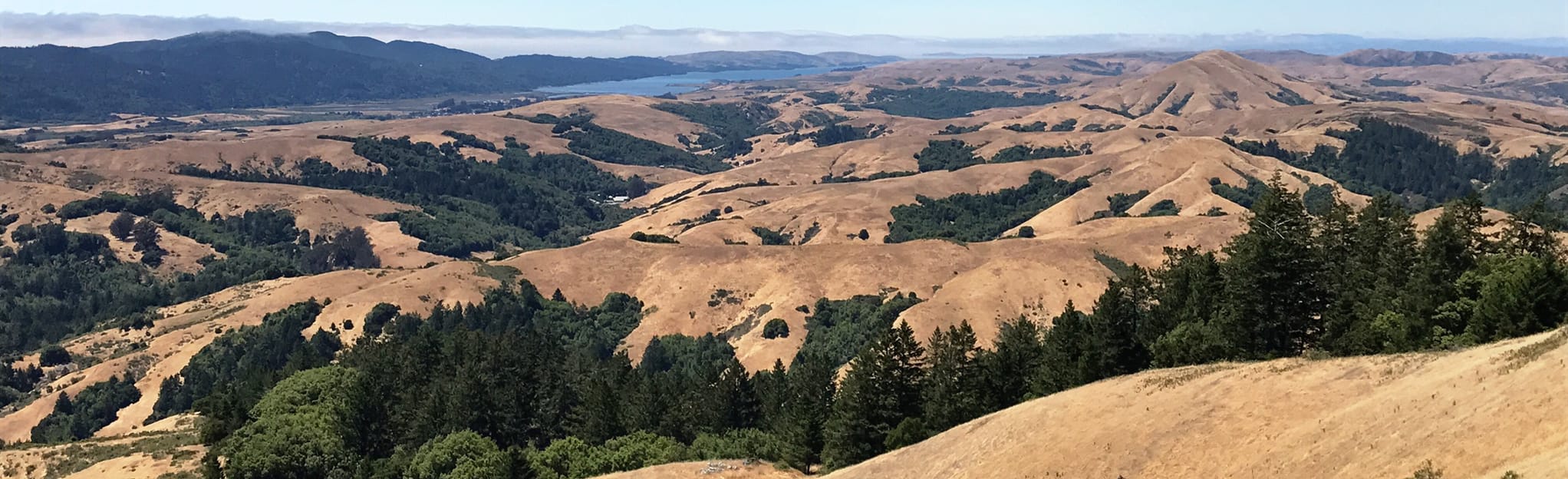 Barnabe Peak Loop via Barnabee Road and Cross Marin Trail, California ...
