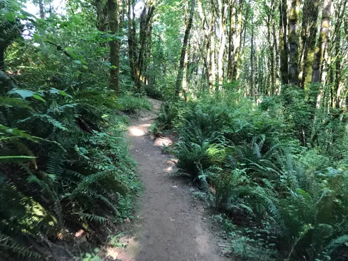 10 Best Trails and Hikes in Lake Oswego | AllTrails