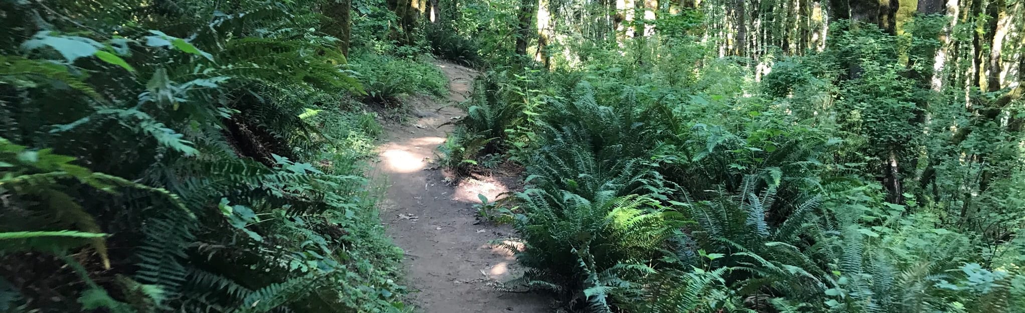 Cooks Butte Loop, Oregon - 331 Reviews, Map | AllTrails