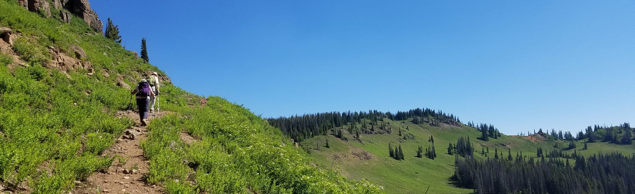 Ginny's Trail, Colorado - 10 Reviews, Map | AllTrails