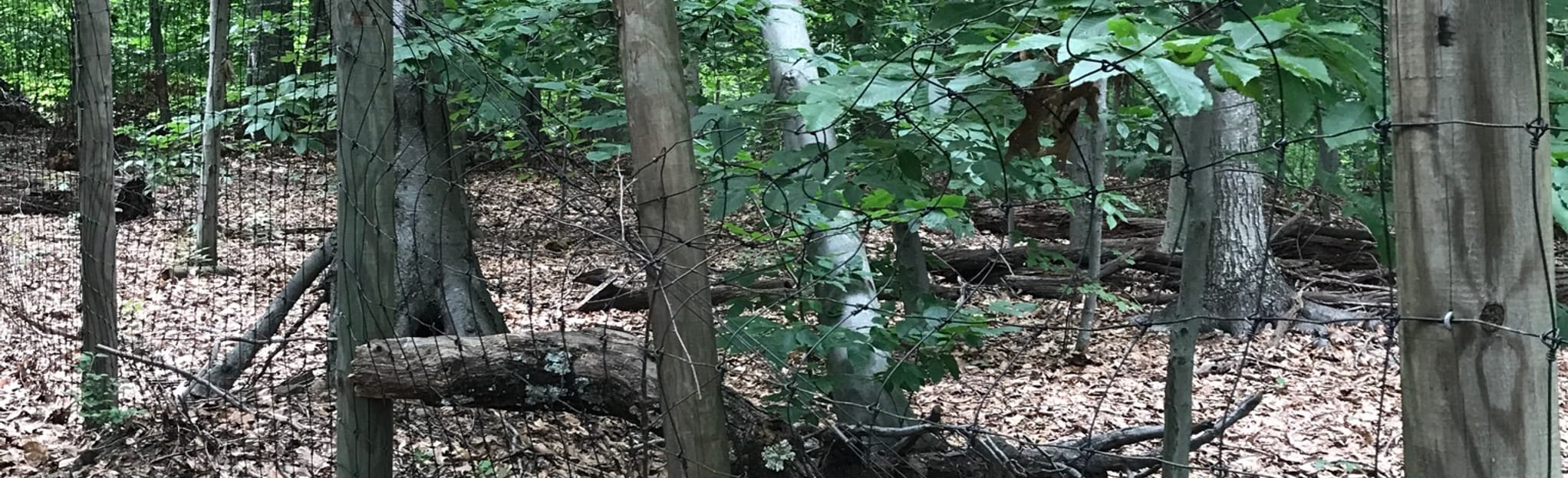 Painters Point Trail, New Jersey - 70 Reviews, Map | AllTrails