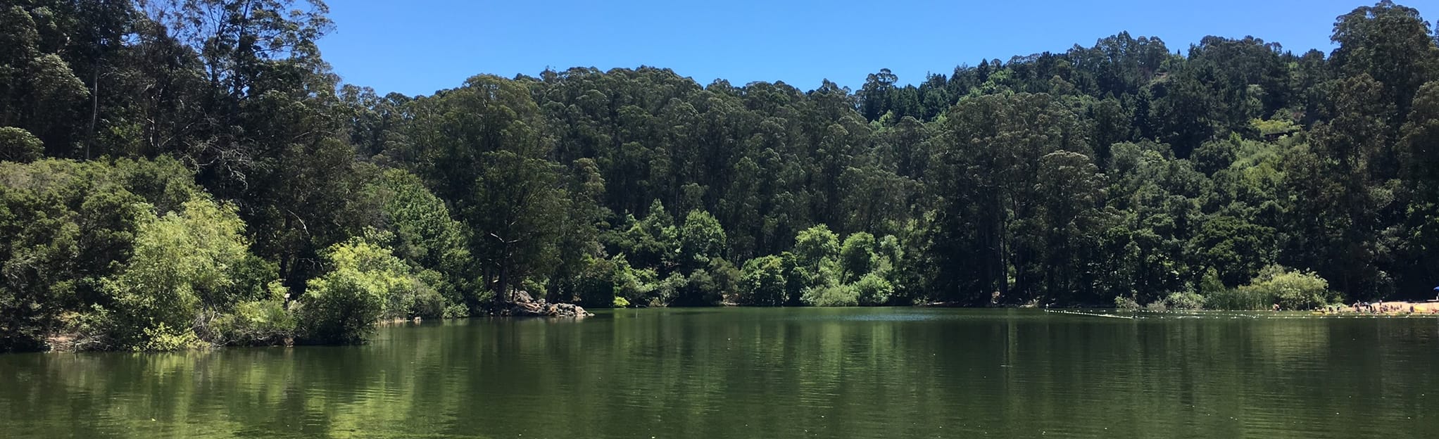 Selby Trail and Wildcat Gorge Loop to Lake Anza: 236 Reviews, Map ...
