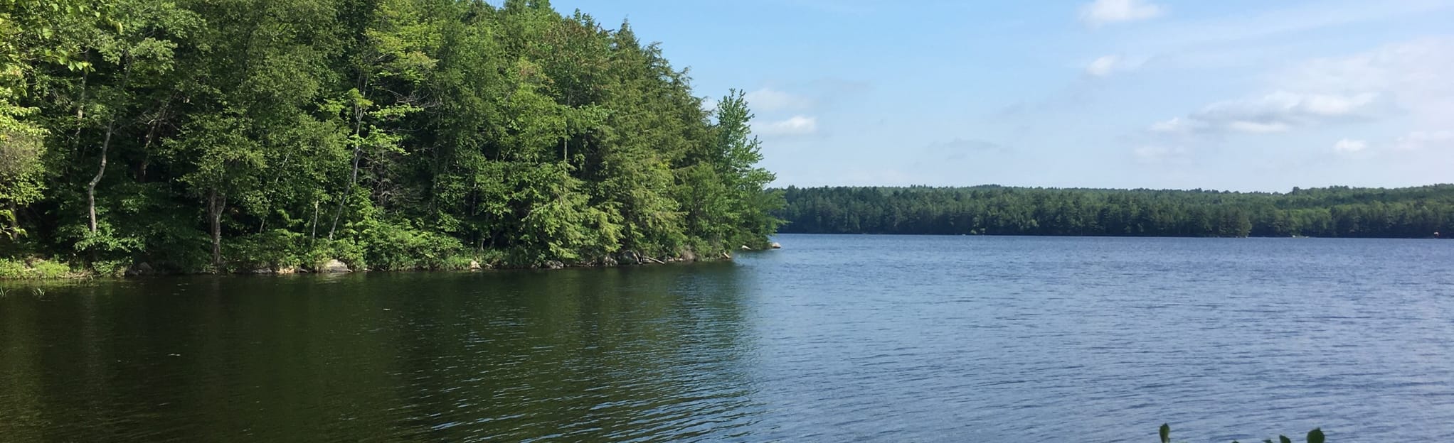 Warren, Hemlock, and Moose Trail Loop: 41 Reviews, Map - Maine | AllTrails