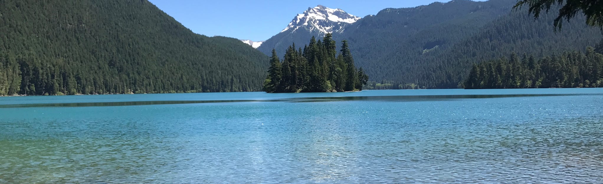 Lost Lake via Packwood Lake, Washington - 87 Reviews, Map | AllTrails