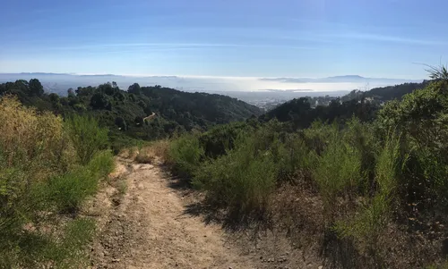 10 Best Trail Running Trails in Berkeley | AllTrails