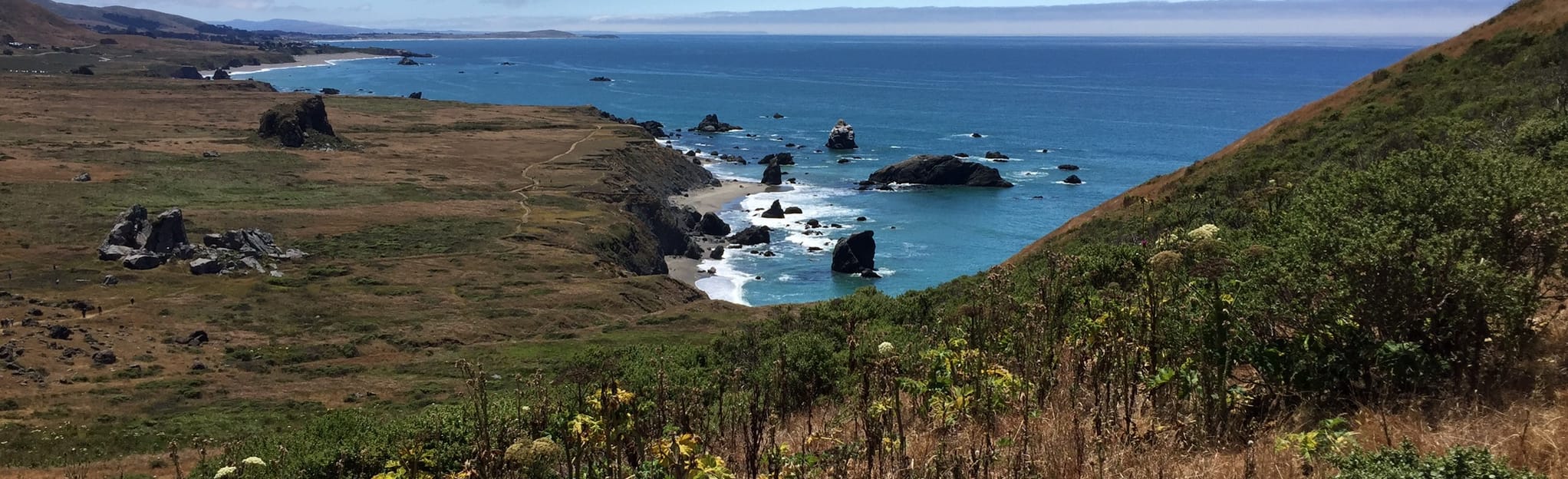 Kortum Trail: 308 Reviews, Map - California | AllTrails