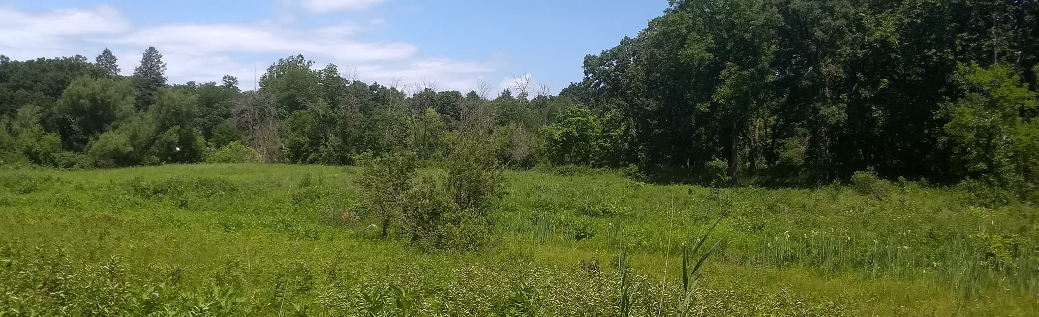 Bluff Spring Fen Nature Preserve Loop: 47 Reviews, Map - Illinois ...