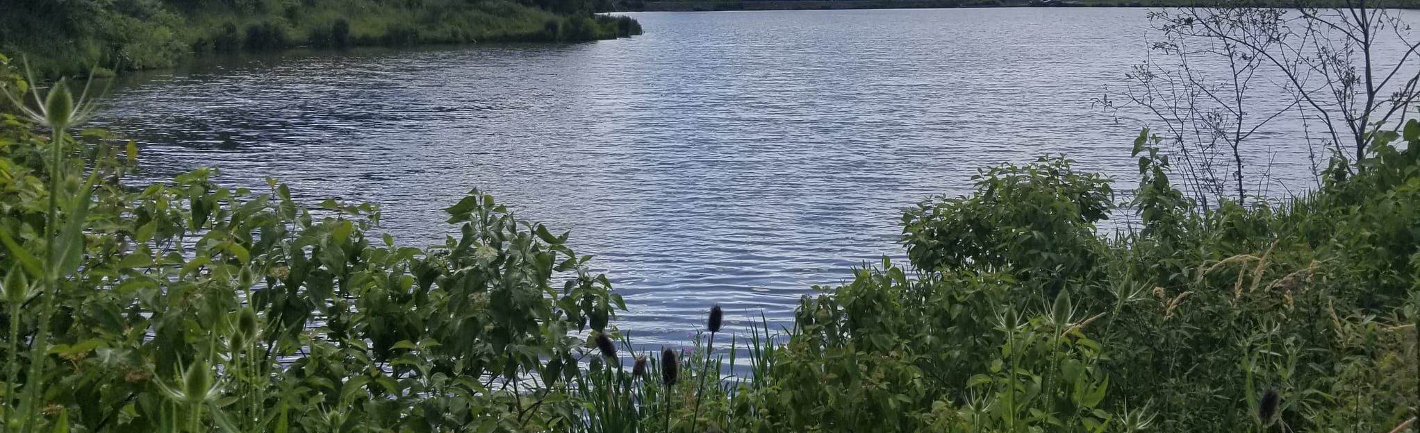 Lake Rowena Trail: 18 Reviews, Map - Pennsylvania | AllTrails