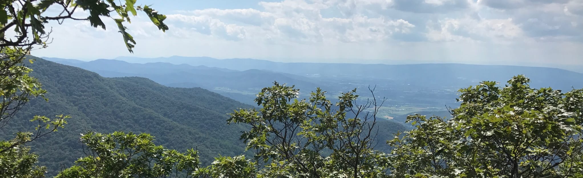 AllTrails | Cedar Run Trail to Hawksbill to White Oak Trail Loop: 423 ...