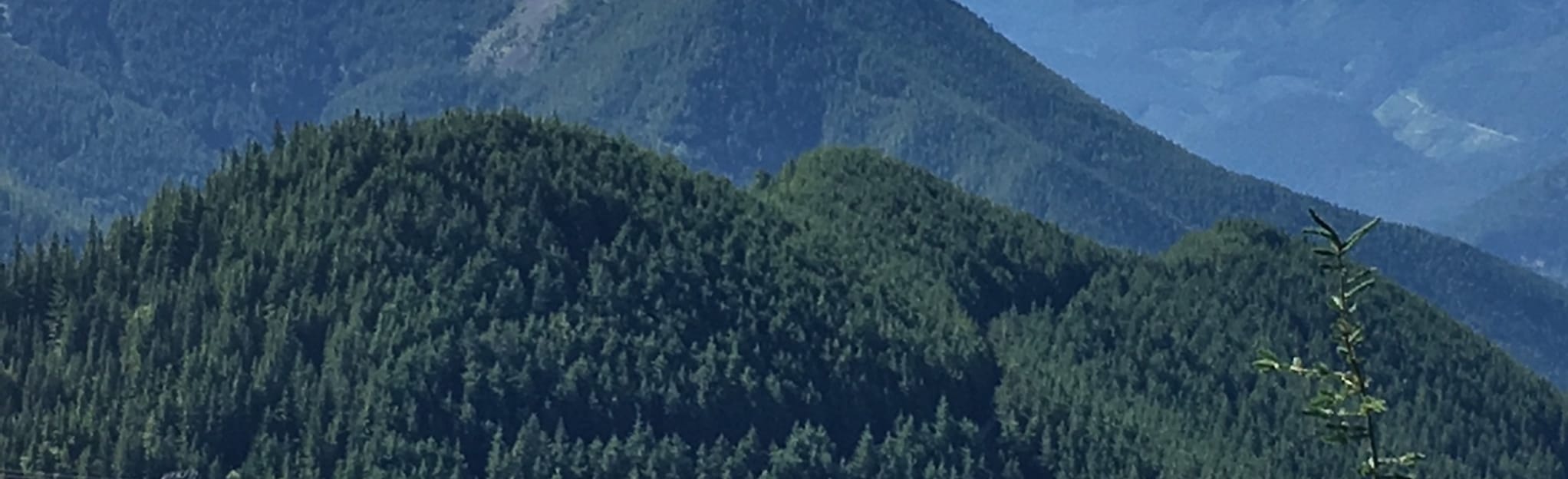 Rocky Top Trail, Oregon - 105 Reviews, Map | AllTrails