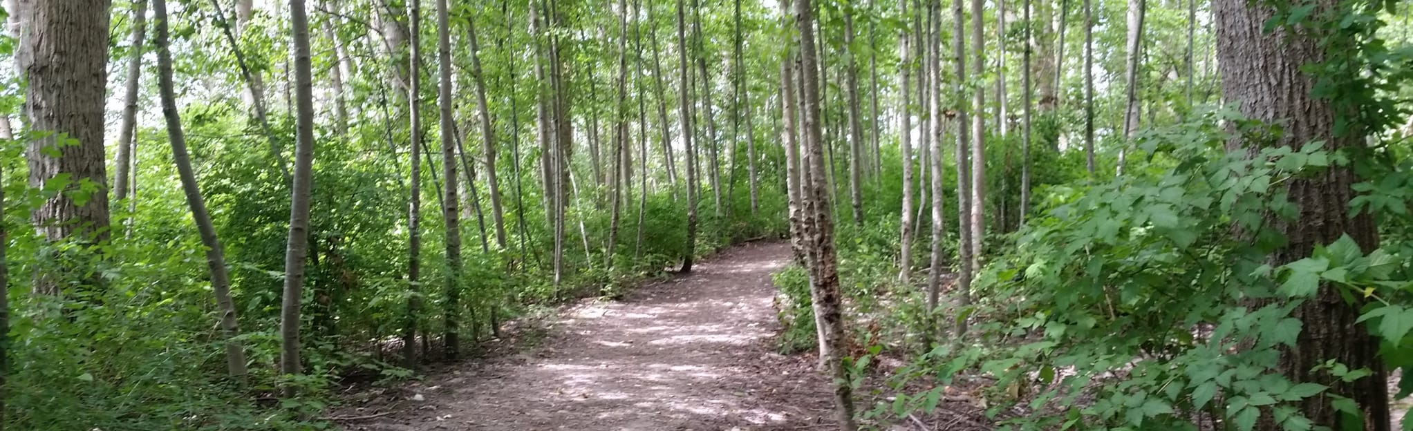 South Arm Marshes Spirit Trail, British Columbia, Canada - 83 Reviews, Map | AllTrails