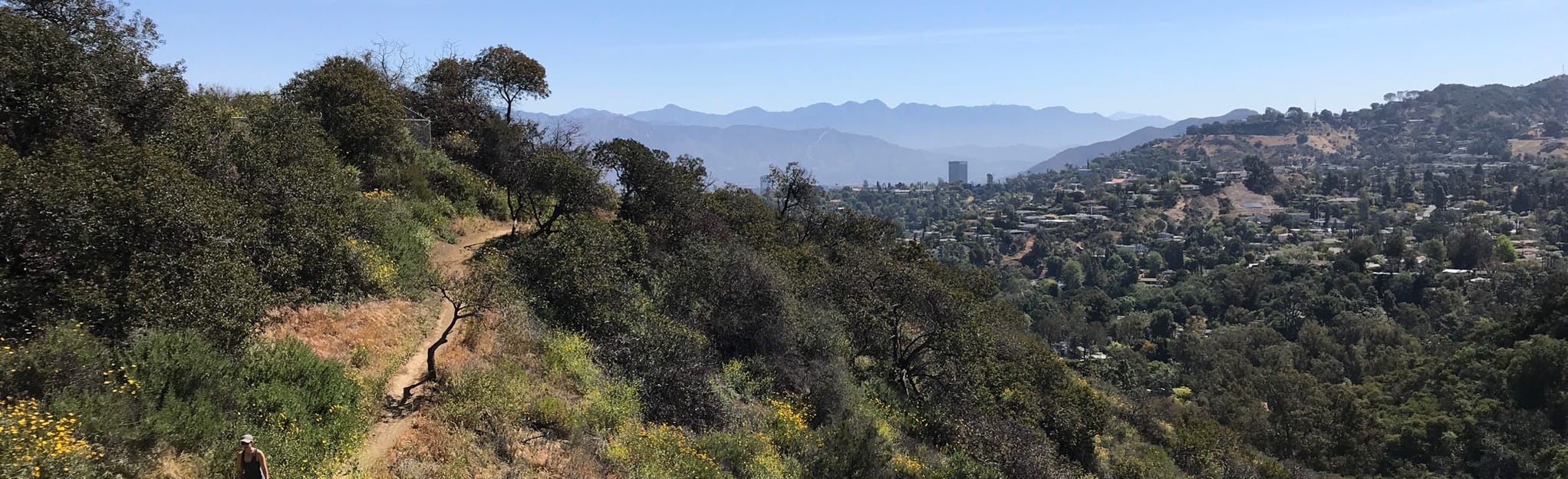 Betty B Dearing Mountain Trail - California | AllTrails