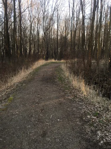 2023 Best 10 Trails and Hikes in Appleton | AllTrails