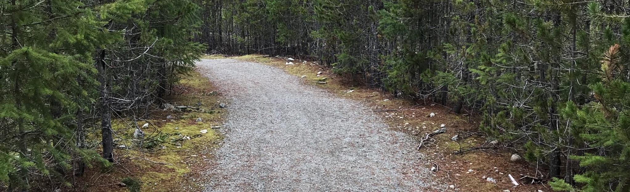 Jane Lake and Sky to Sea Loop Trail: 11 Reviews, Map - British Columbia ...
