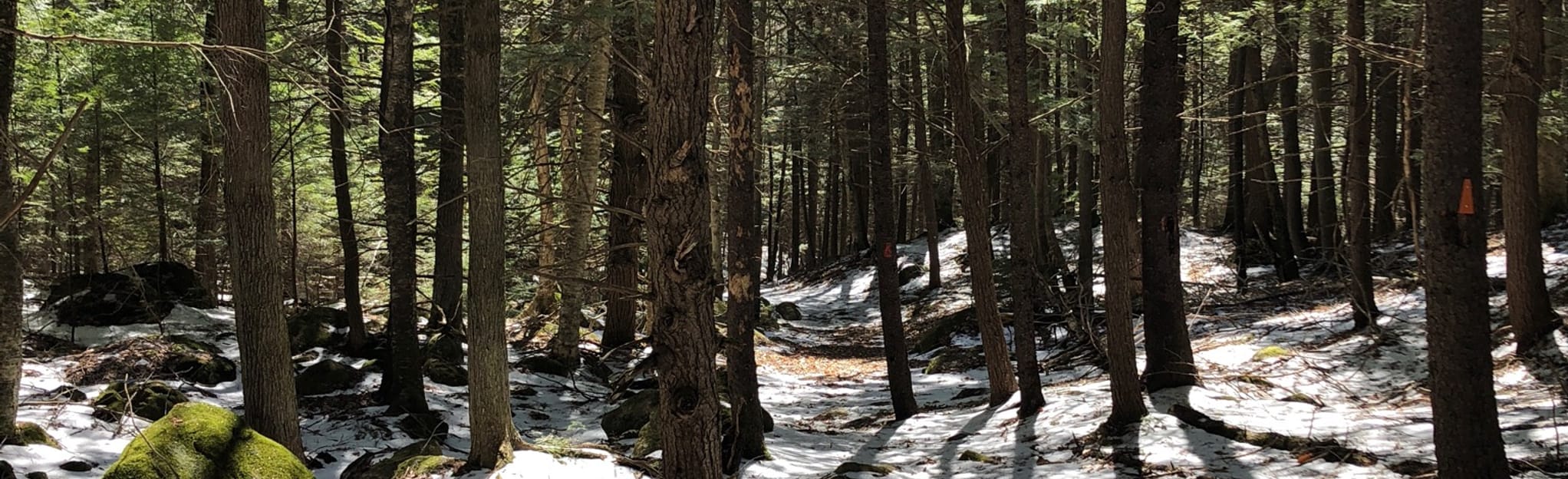 Cascade Loop: 181 Reviews, Map - New Hampshire | AllTrails