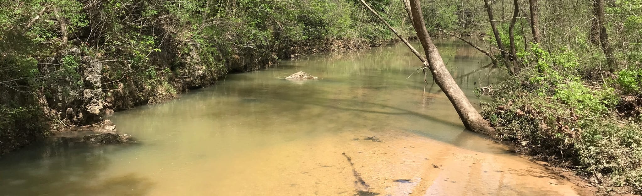 Round Spring Cave, Missouri - 18 Reviews, Map | AllTrails