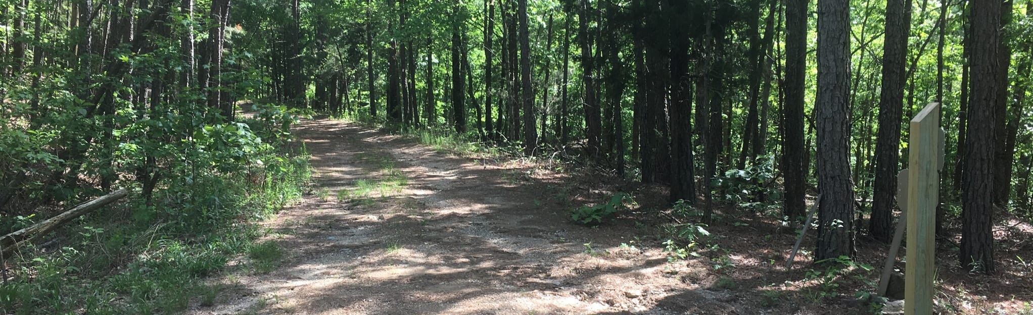 Lake Ouachita Vista Trail: Mtn Harbor Rd - Lookout Tower: 66 Reviews ...