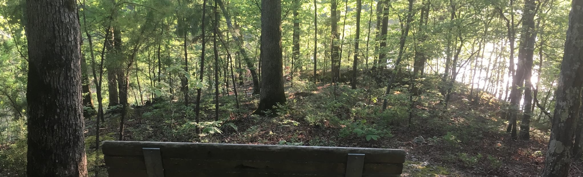 Denby Point to Homestead Trailhead: 81 Reviews, Map - Arkansas | AllTrails