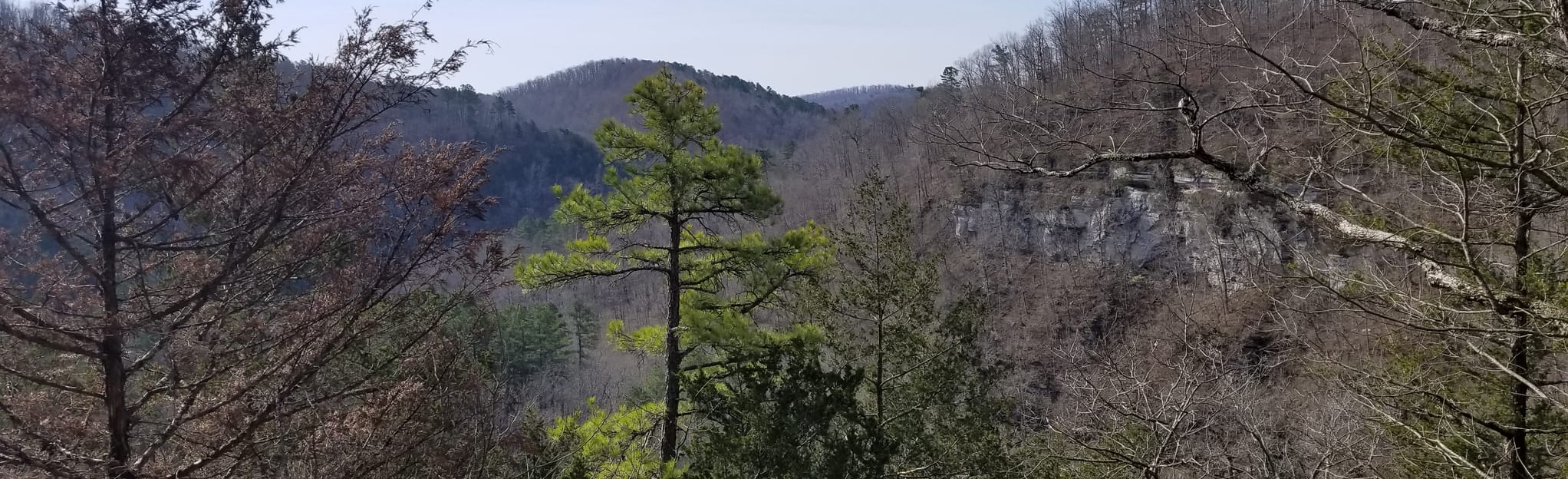 North Sylamore Creek Trail: Gunner Pool to Crippled Turkey, Arkansas ...