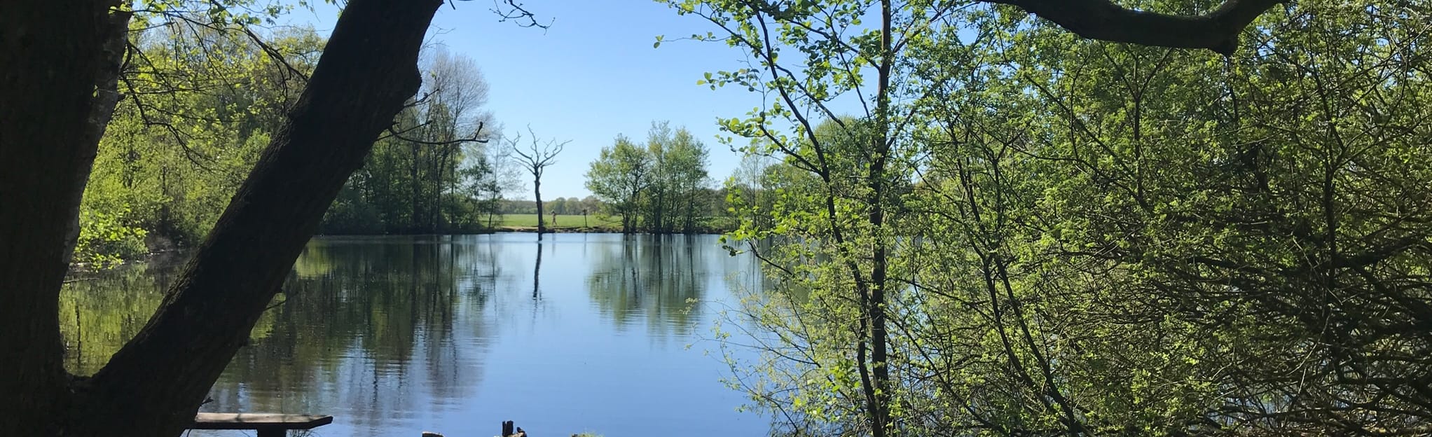 Wandelroute Norger Esdorpenlandschap in Norg, Drenthe, Netherlands - 22 ...