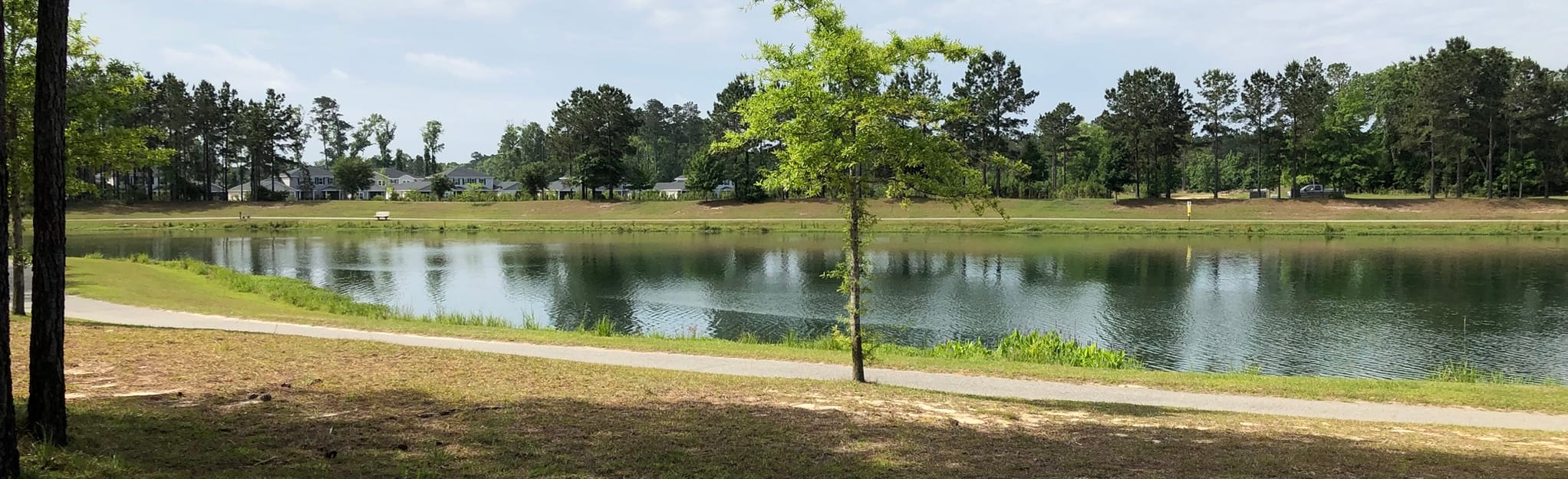 DeVaul Henderson Lake Loop - Georgia | AllTrails