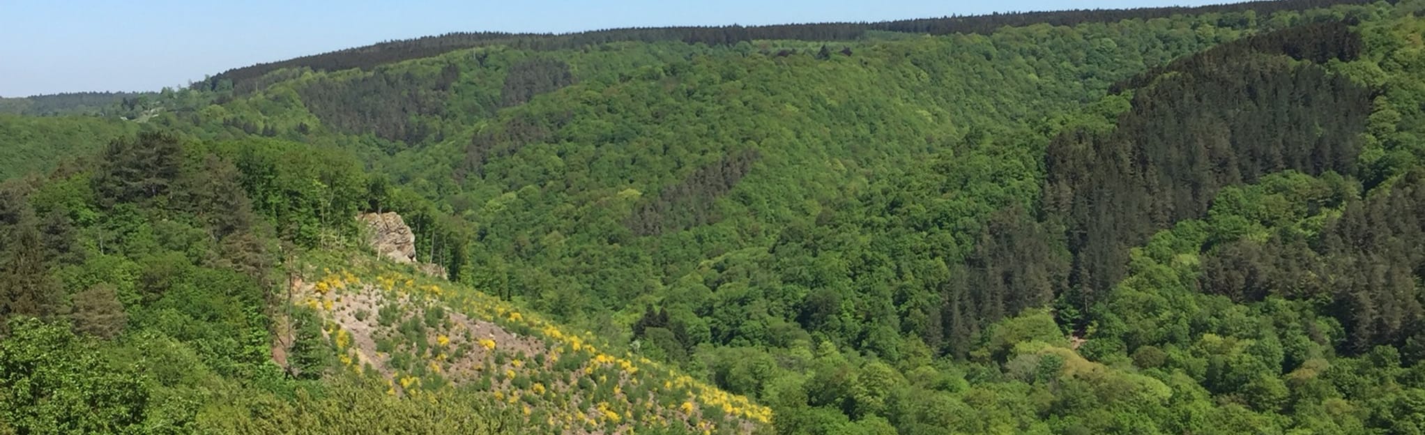 Roches Crahay en Vallon du Ninglinspo - Liège, Belgium | AllTrails