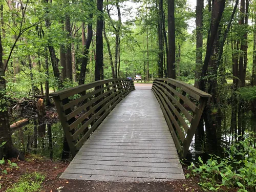 10 Best Trails and Hikes in Virginia Beach | AllTrails