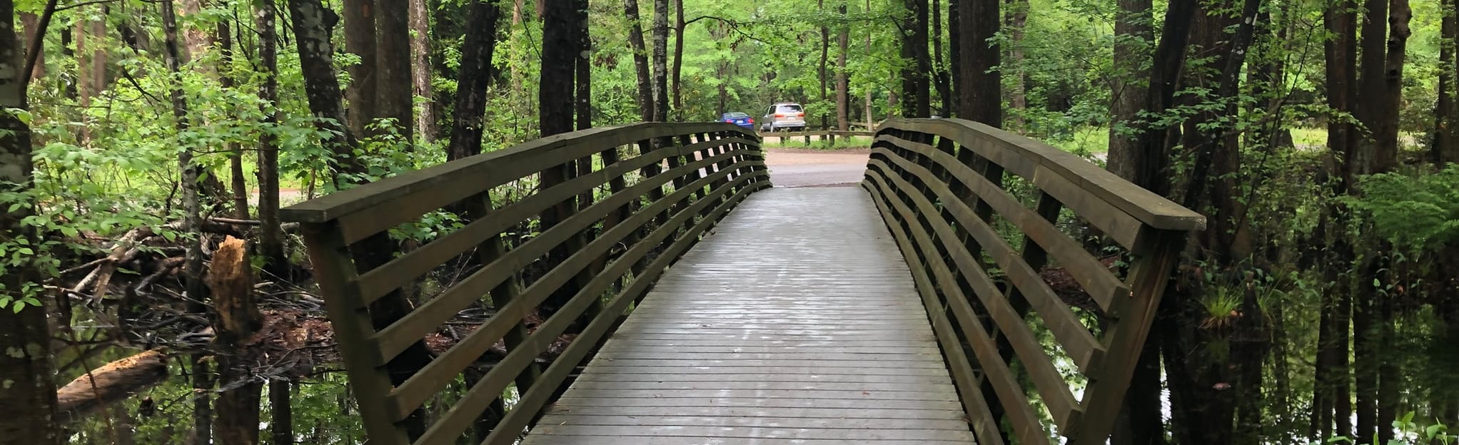 Cape Henry Trail, Virginia - 569 Reviews, Map | AllTrails