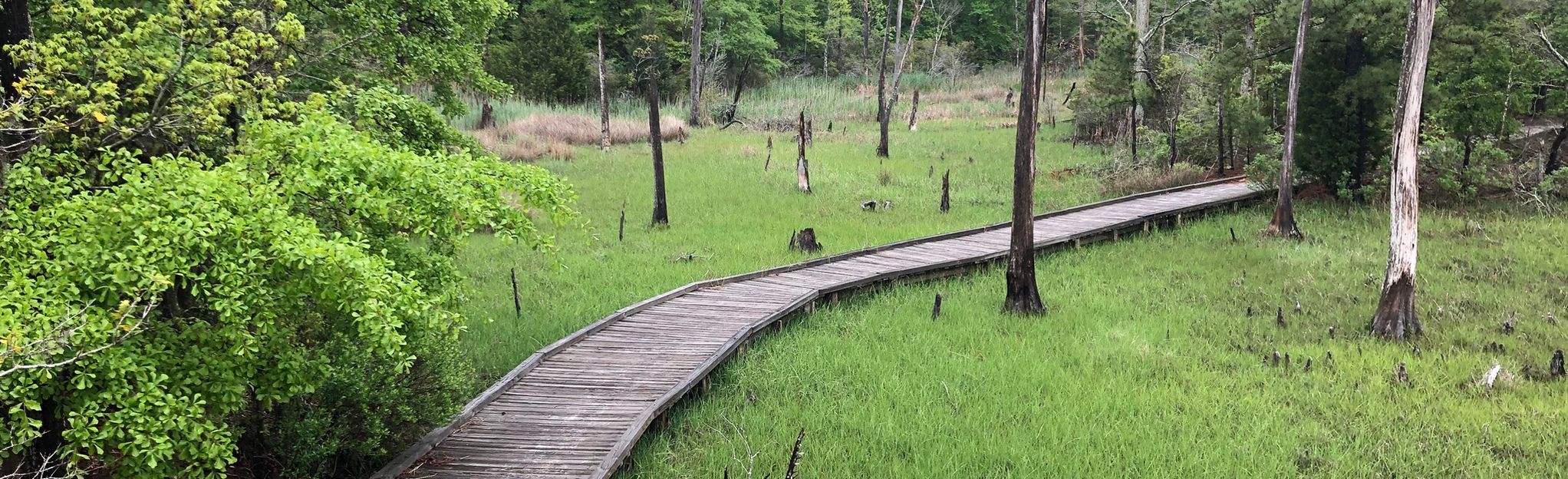 First Landing Loop Trail, Virginia - 446 Reviews, Map | AllTrails