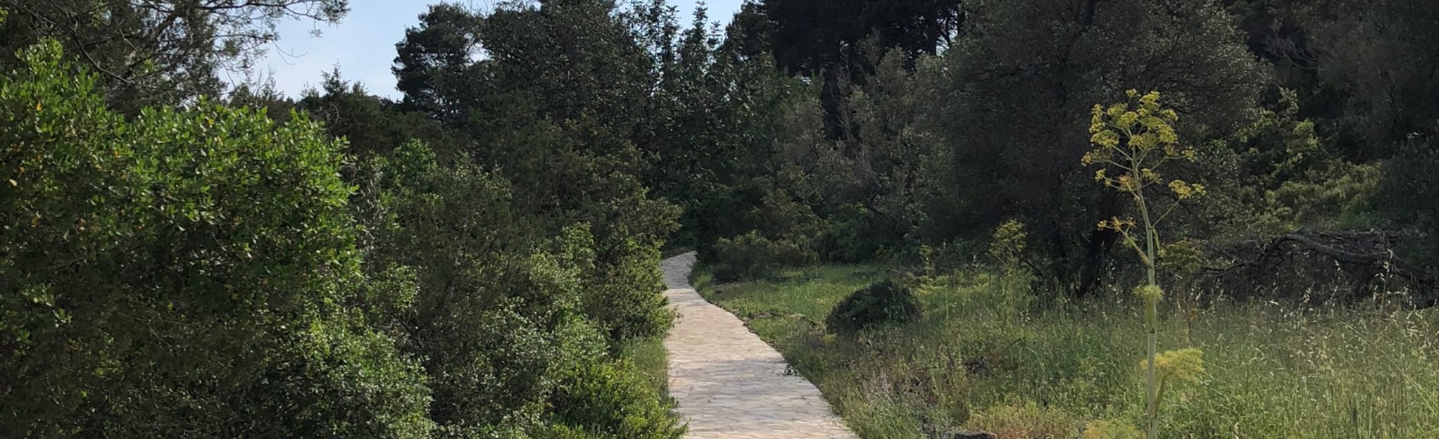 Polače - Veliki Gradac, Dubrovnik-Neretva, Croatia - 3 Reviews, Map ...