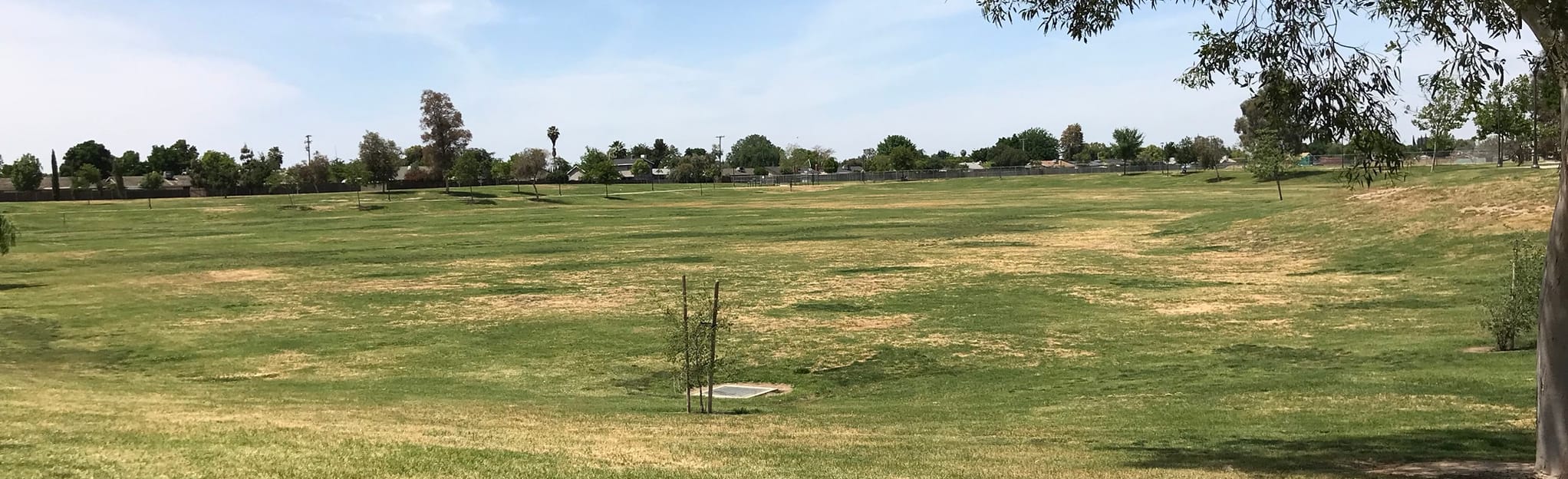 Freedom Park, California - 77 Reviews, Map | AllTrails