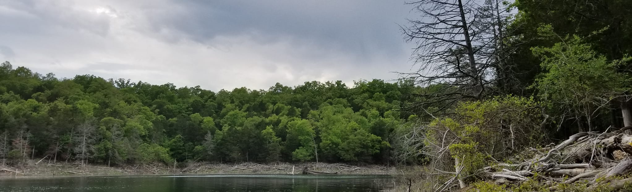 David's Trail, Mallard Ridge Spur, Piney Point and Bald Knob Loop Trail ...